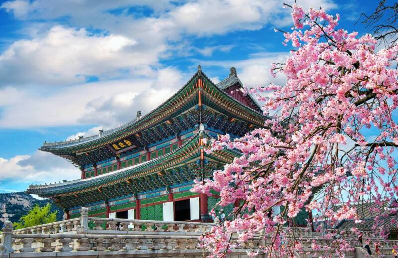 What to See in Seoul 2026: Top Attractions in Seoul