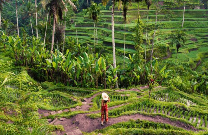 The complete guide to Bali: Everything you need to know