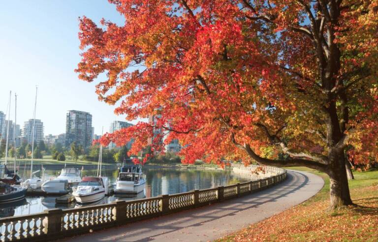 Canada in autumn: the ultimate guide to fall travel