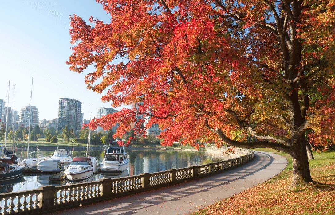 Canada in autumn: the ultimate guide to fall travel